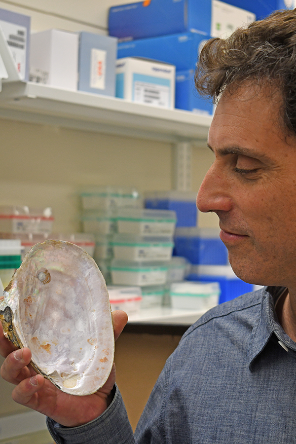 Tony-shell-1 – Global Health Institute – UW–Madison