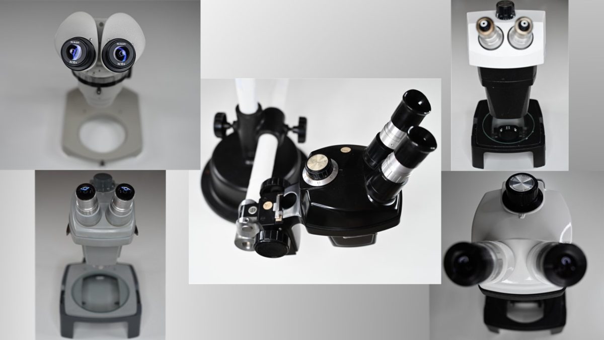 The Inspiration Behind The Madison Microneurosurgery Initiative: Meet ...