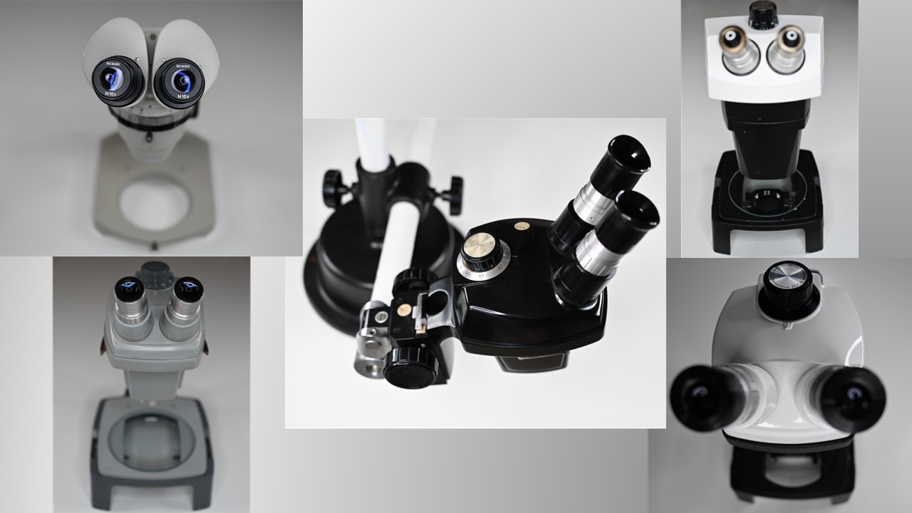 The Inspiration Behind The Madison Microneurosurgery Initiative: Meet ...